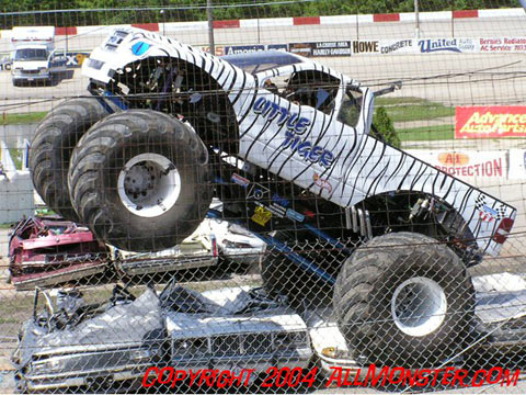 Brian Barthel - Little Tiger - AllMonster.com Monster Profile